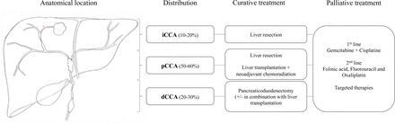 Treatment of cholangiocarcinoma in patients with primary sclerosing ...