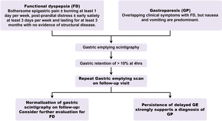 Functional dyspepsia and gastroparesis: are they distinct disorders, a spectrum of diseases or ...