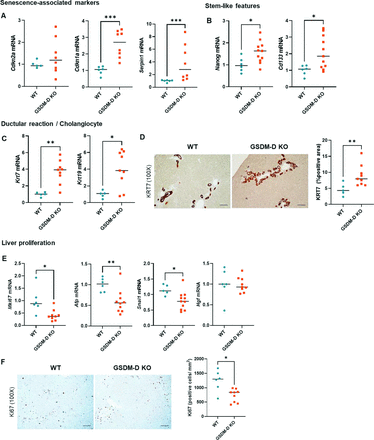 Gasdermin D deletion prevents liver injury and exacerbates extrahepatic ...