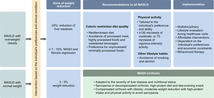 Key takeaways from the updated multidisciplinary European MASLD ...