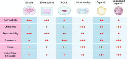 Engineering liver disease models in vitro: emerging trends and ...