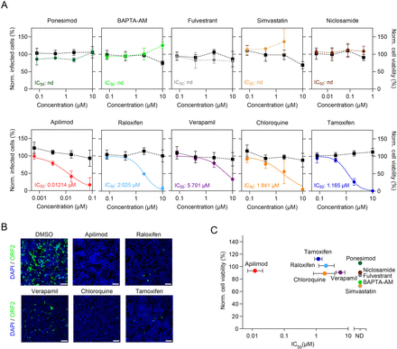 Phosphoinositide kinase PIKfyve inhibitor apilimod blocks hepatitis E ...