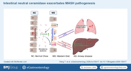 Intestinal neutral ceramidase exacerbates MASH pathogenesis ...