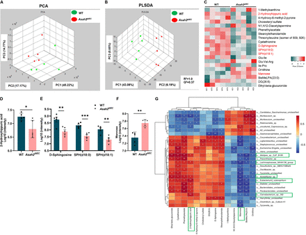 Intestinal neutral ceramidase exacerbates MASH pathogenesis ...